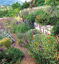 Garden access paths | Garden Gate