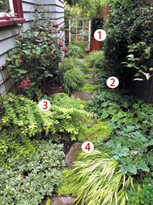 Create a gorgeous garden passage | Garden Gate