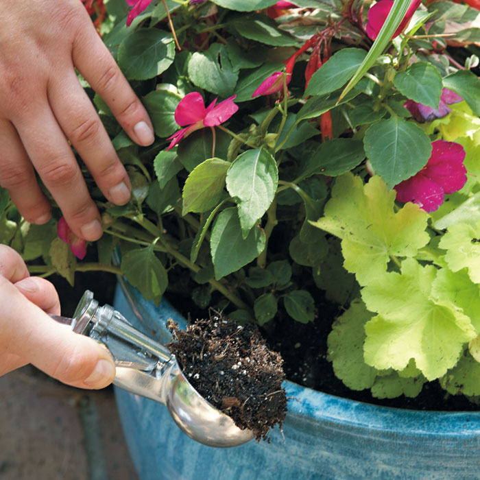 Soil Scoop | Garden Gate