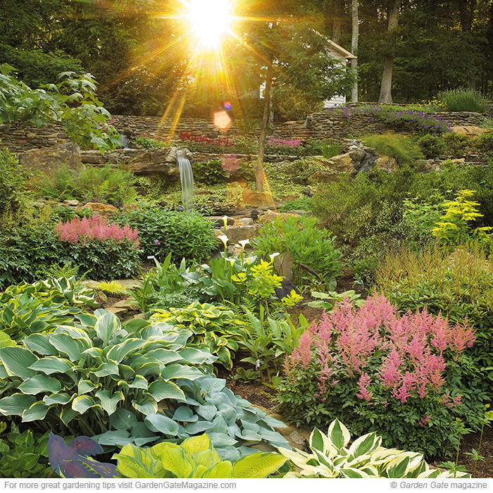Shade explained | Garden Gate