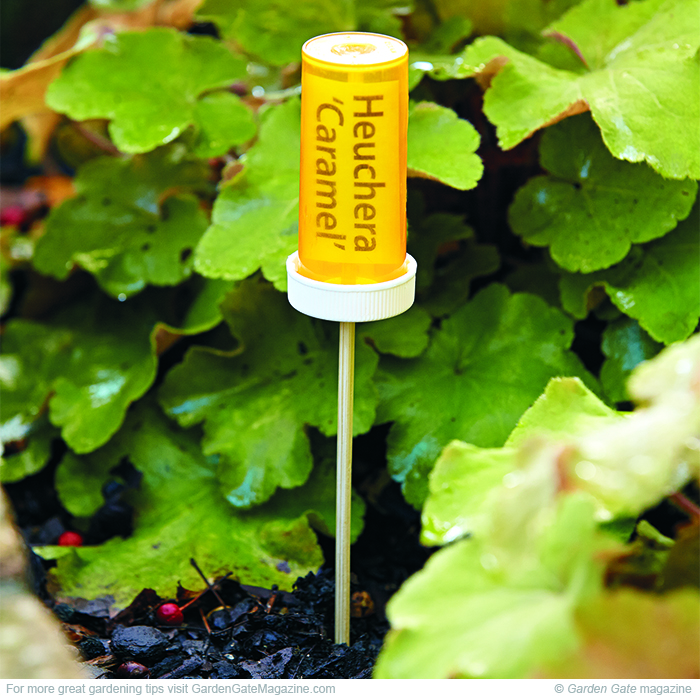 Plant label protector | Garden Gate