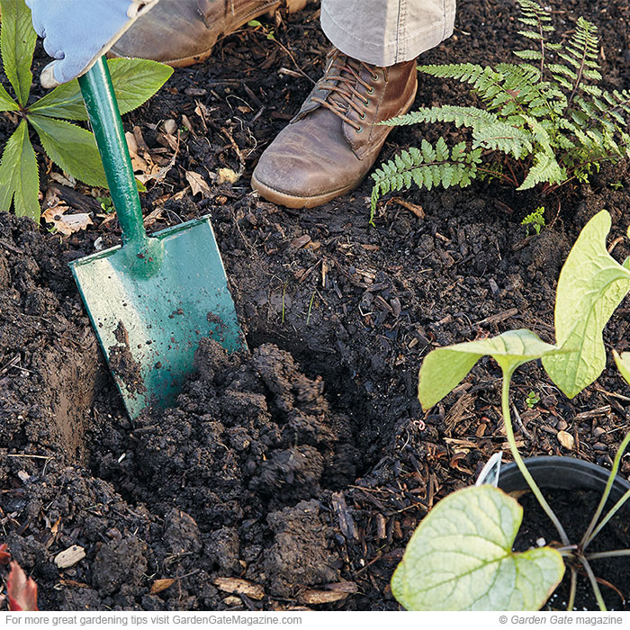 Step-by-step planting guide | Garden Gate