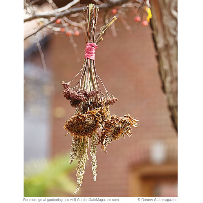 Buffet for birds | Garden Gate