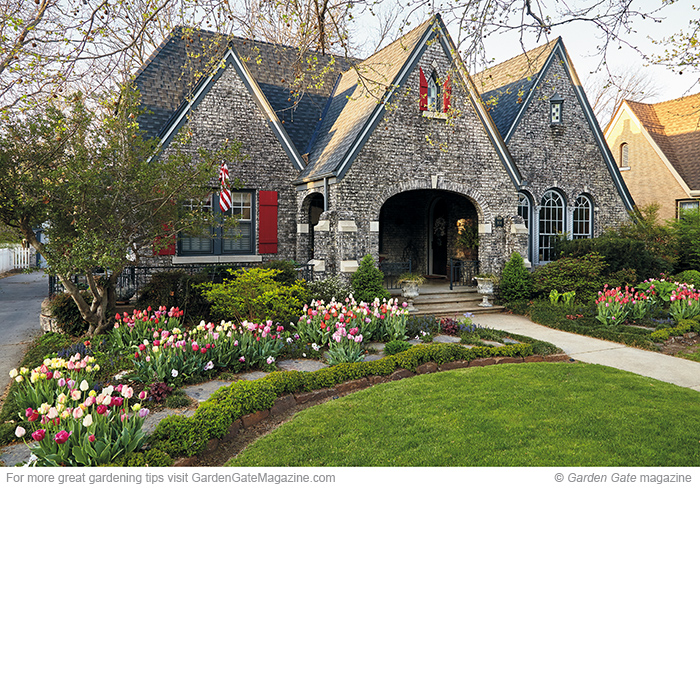 Liven up a boring border | Garden Gate