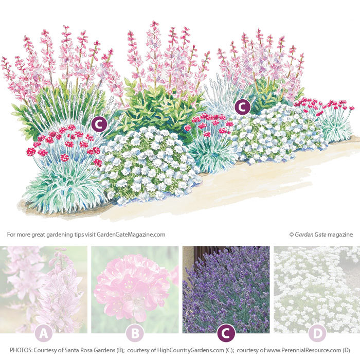 Aroma all around | Garden Gate